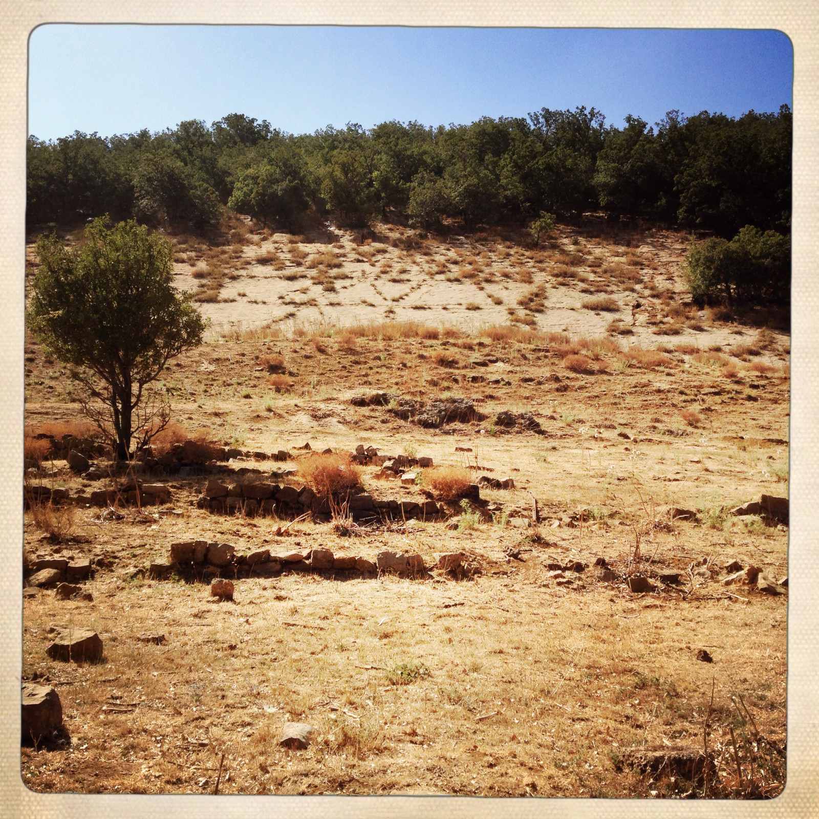 The orchards of Akoura - MOOVTOO Guide